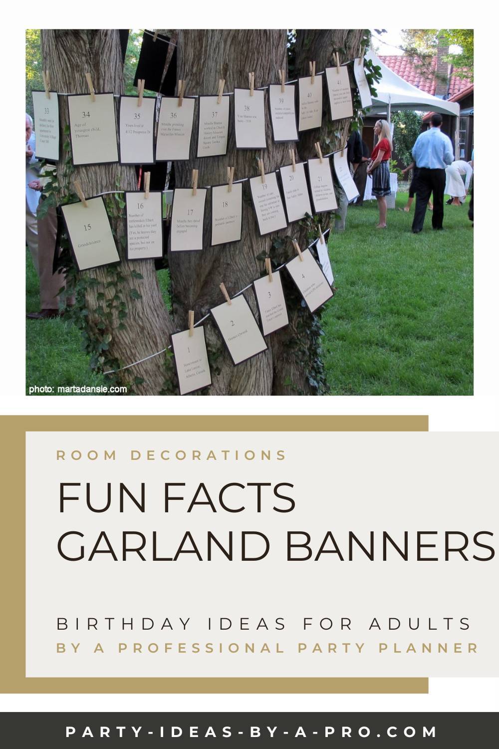 Fun Facts Garland Banners | Party Decorations by a Pro