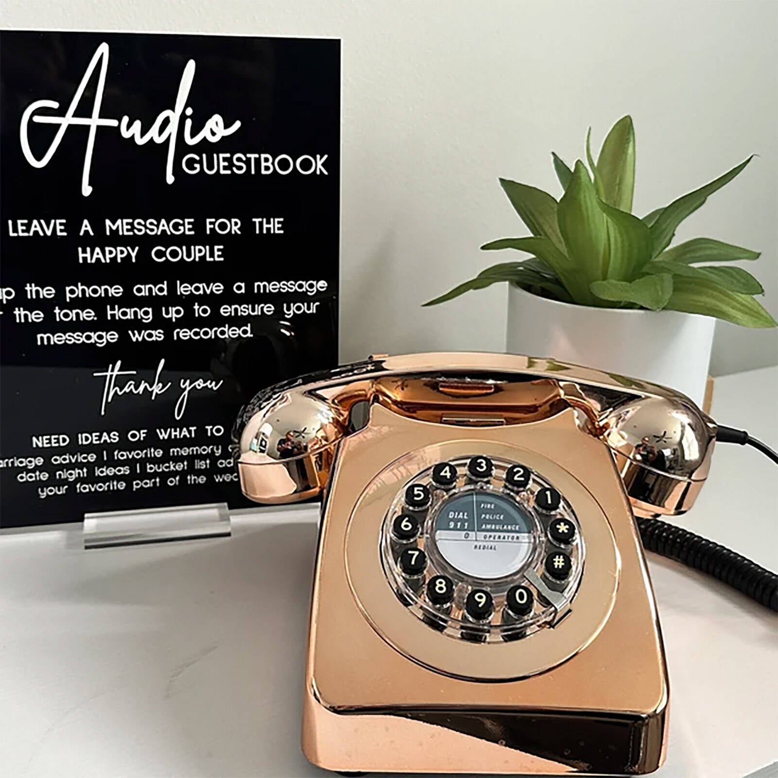Audio Guest Book | Party Activities by a Professional