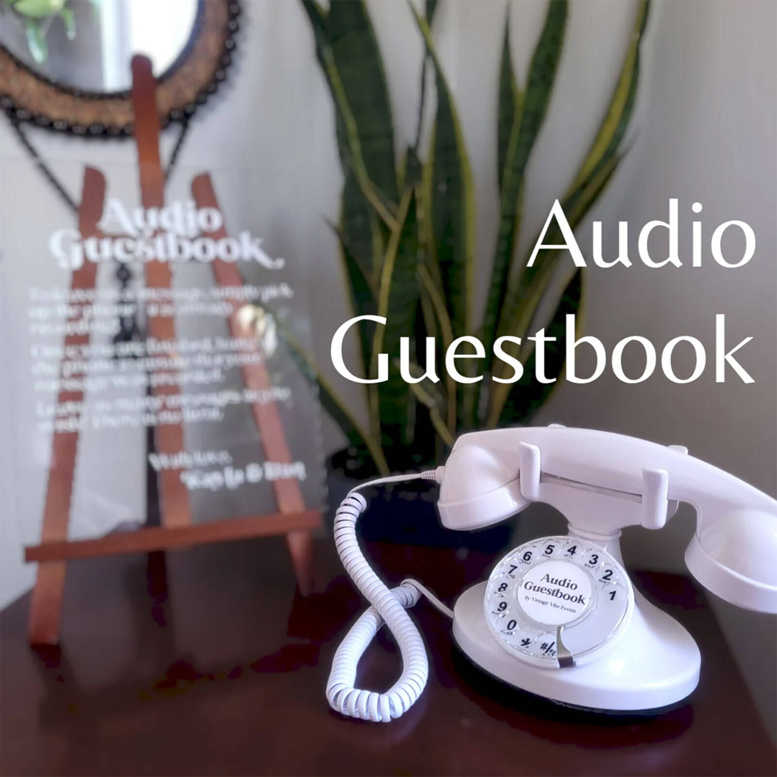 Audio Guest Book | Party Activities by a Professional