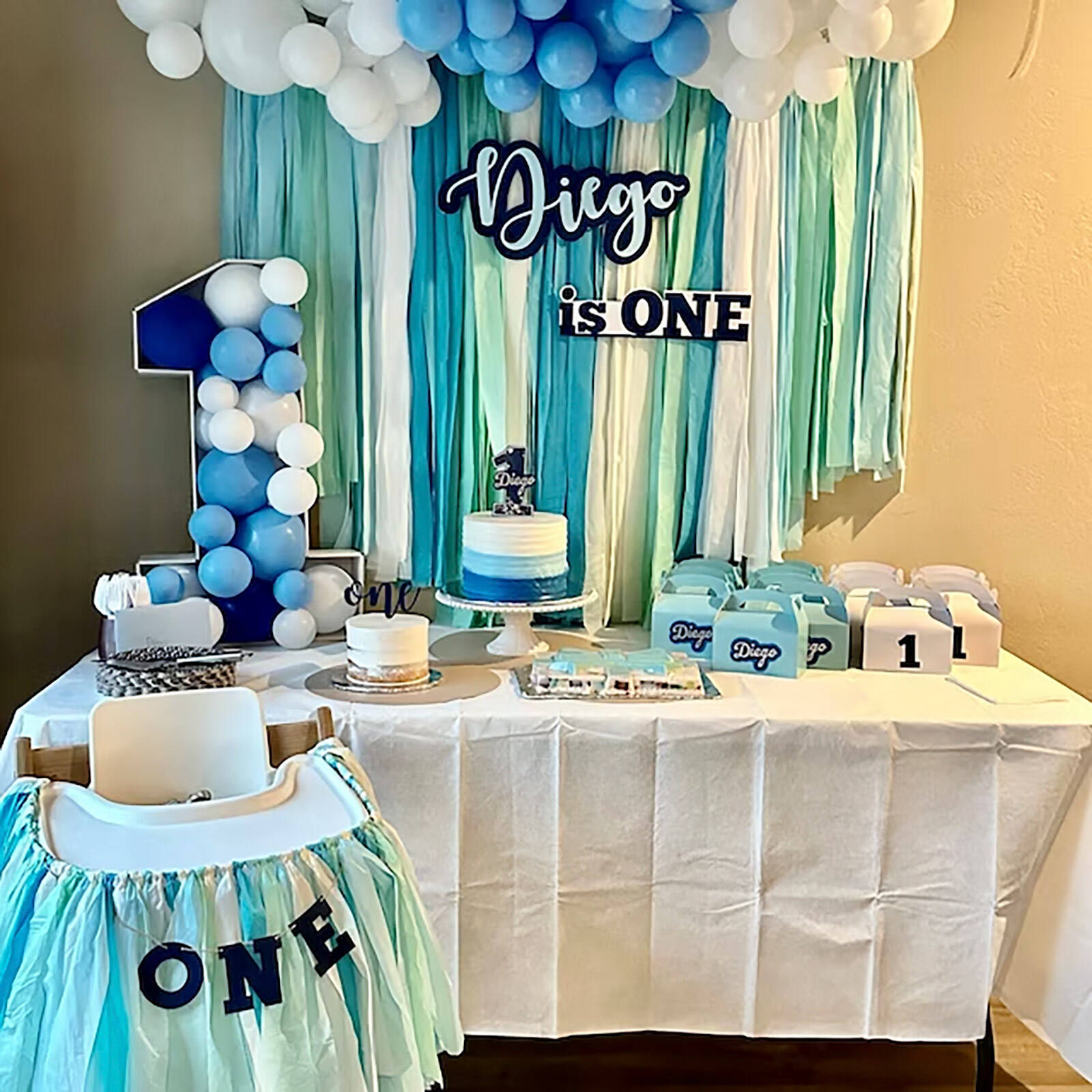 Custom Fringe Party Backdrops | Party Ideas by a Pro