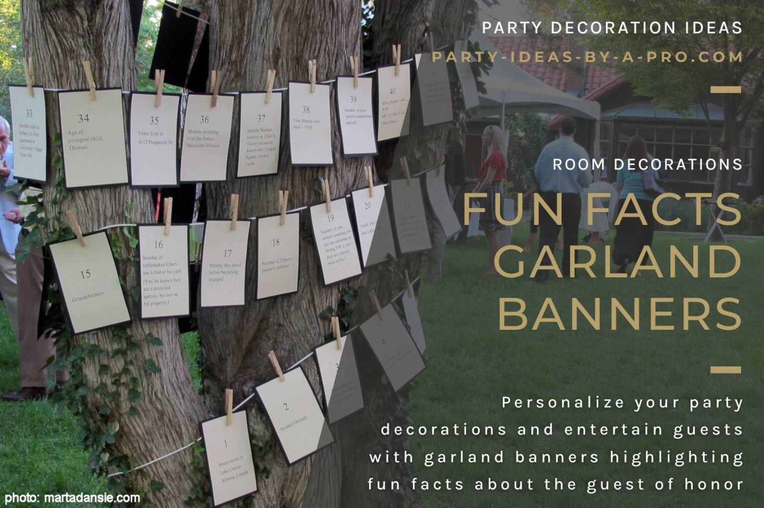 Fun Facts Garland Banners | Party Decorations by a Pro