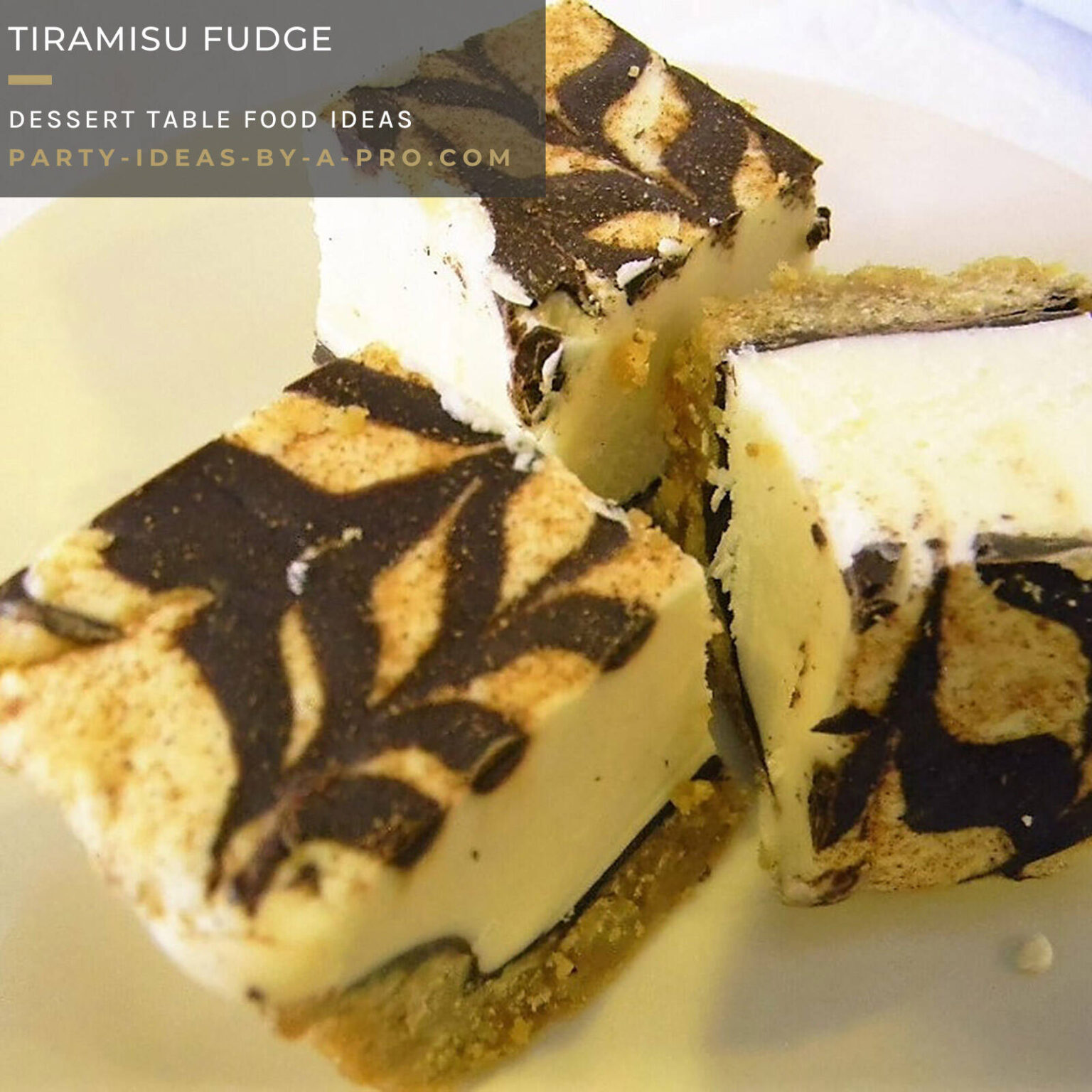 By a Pro: Gourmet Fudge | Unusual Dessert Table Food Ideas