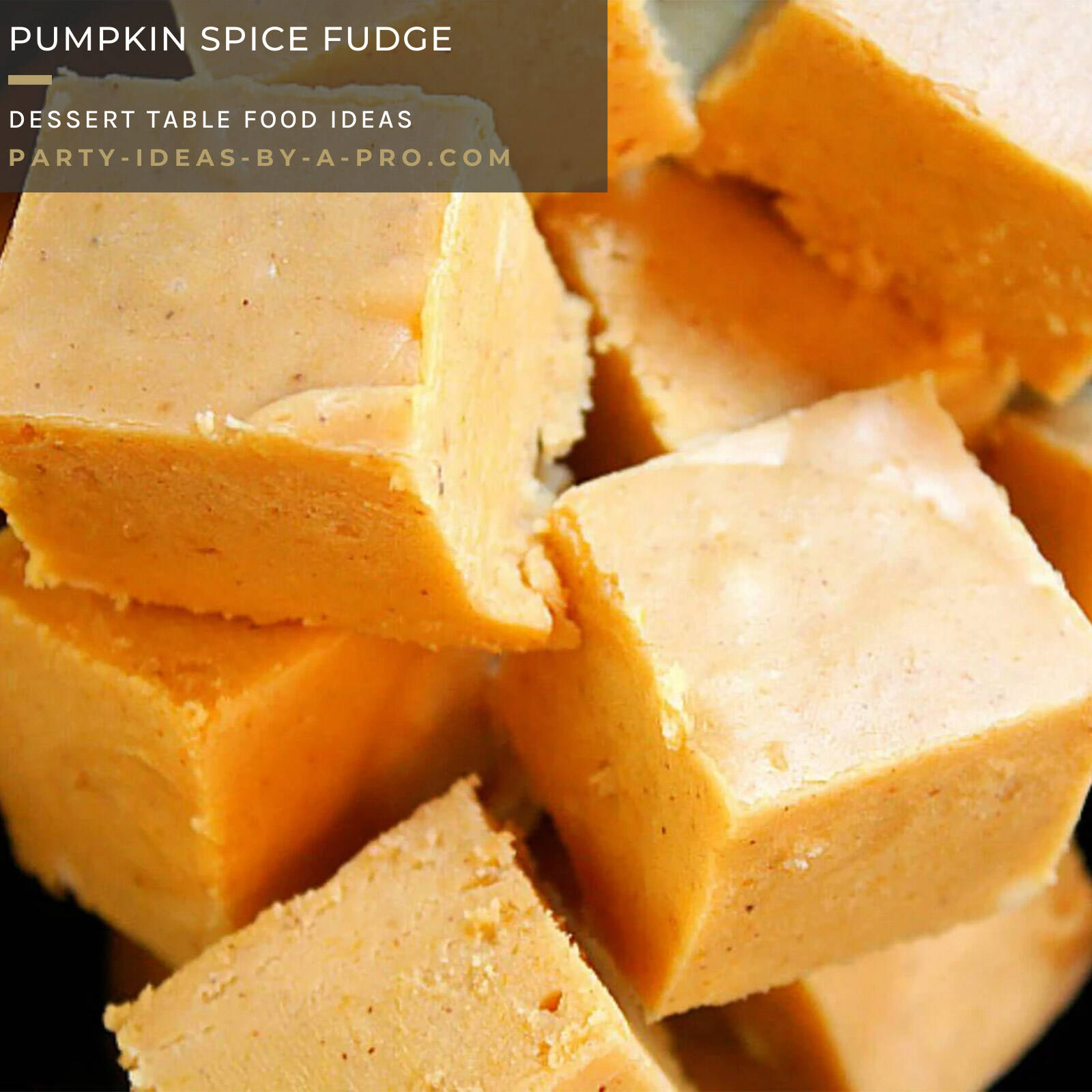 By a Pro: Gourmet Fudge | Unusual Dessert Table Food Ideas