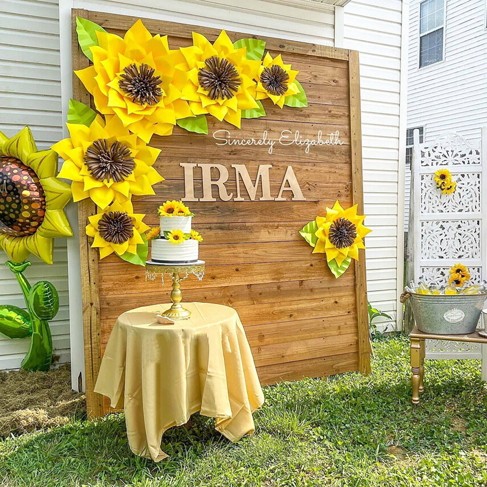 Themed Party Backdrops | Party Idea by a Pro