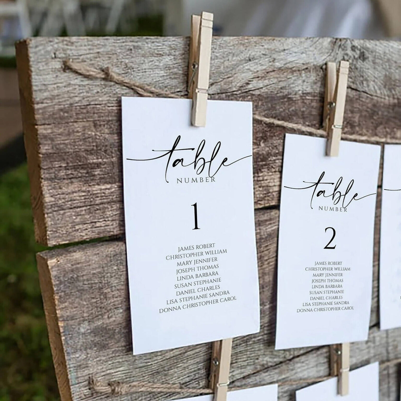 Fun Facts Garland Banners | Party Decorations by a Pro